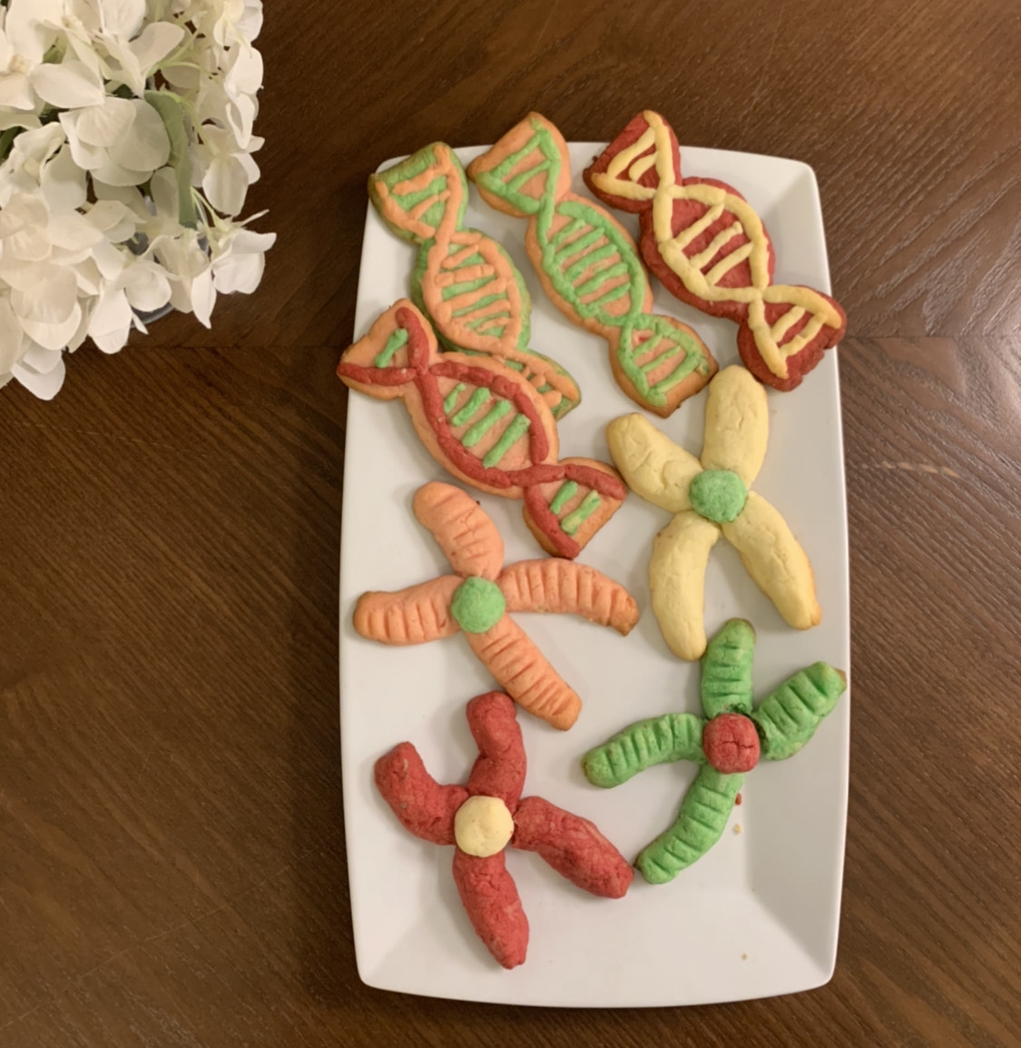Some baked DNA goodies | Hasan Alhaddad Genetics Lab